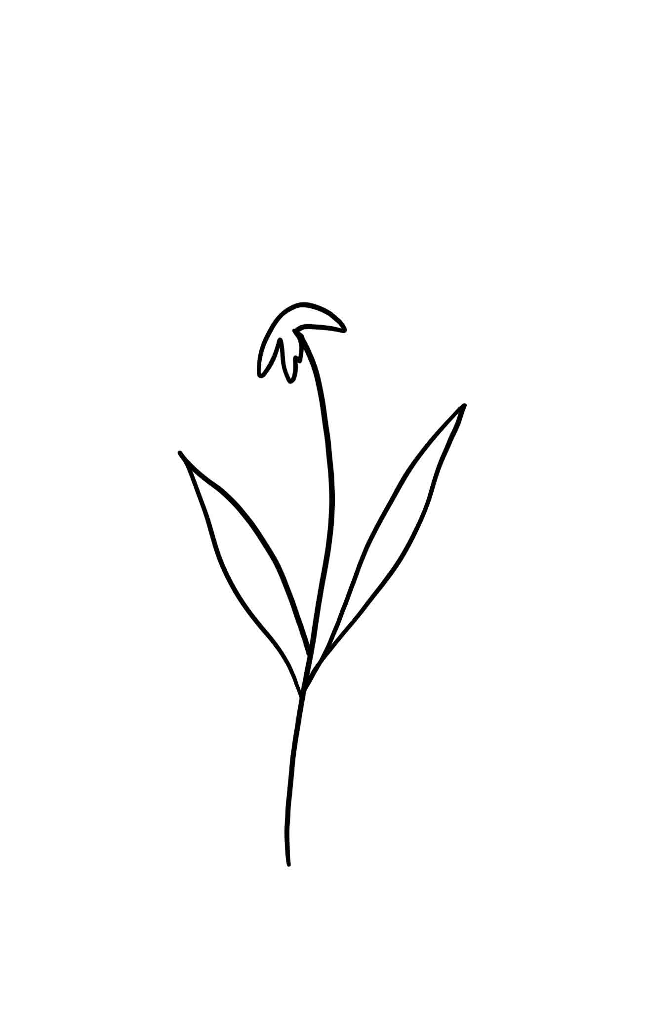 Draw Easy Flowers With This Step by Step Guide.