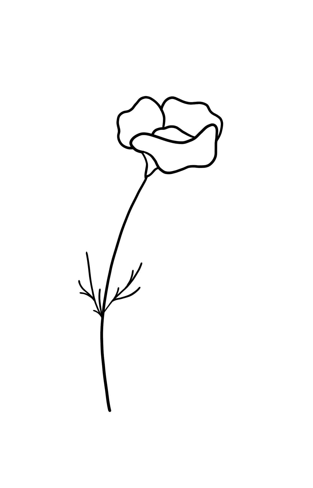 Draw Easy Flowers With This Step by Step Guide.